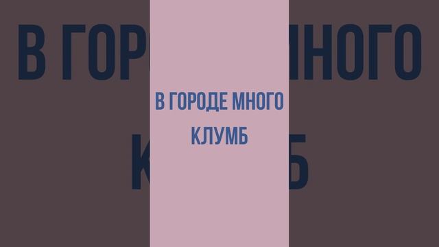 Визитка Виктории Ворошиловой в номинации «Саппорт года»| Оскар-2024