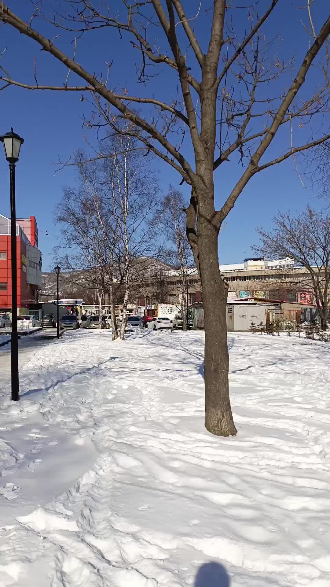 Южный. Находка