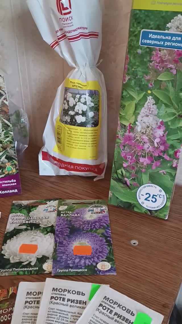 обзор новых растений для сада