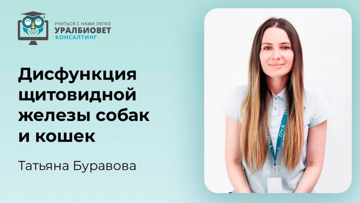 Трансляция фрагмента вебинара: “Дисфункция щитовидной железы собак и кошек”. Лектор Татьяна Буравова
