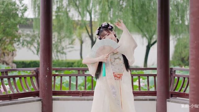 紫颜小仙紫公子留步 且看小女子舞的一曲琵琶行古典舞