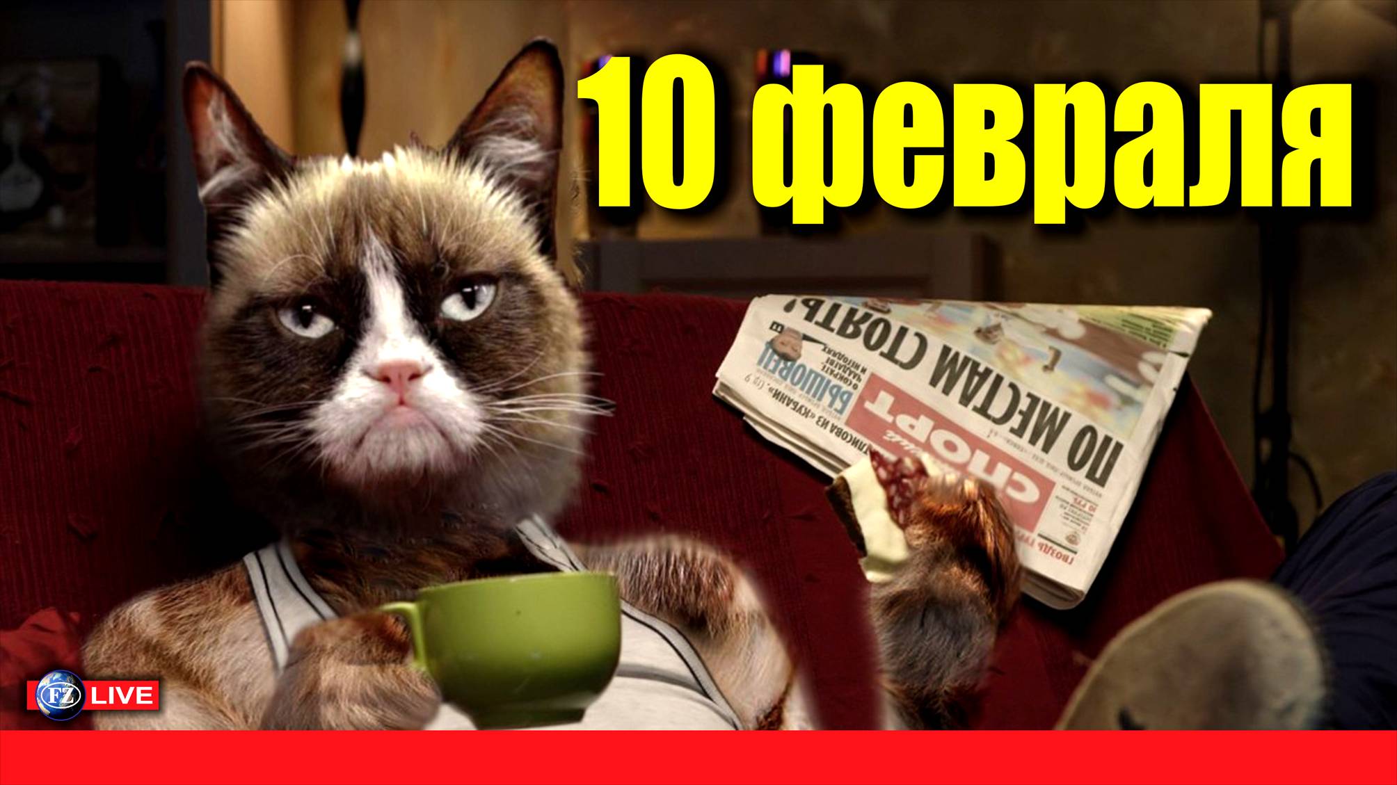 10 ФЕВРАЛЯ - ВОТ ТАКОЙ ДЕНЁК!