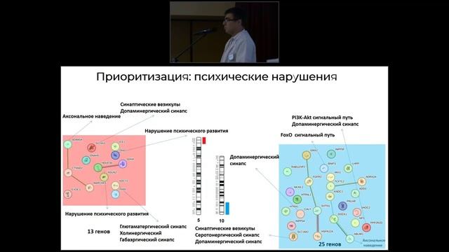 Случай несбалансированной хромосомной транслокации, с участием хромосом 5 и 10