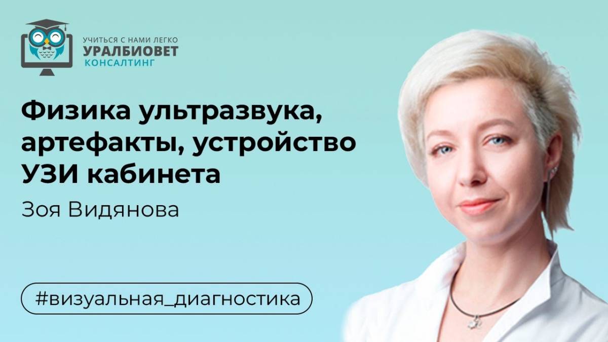 Физика ультразвука, артефакты, устройство УЗИ кабинета. Лектор Зоя Видянова