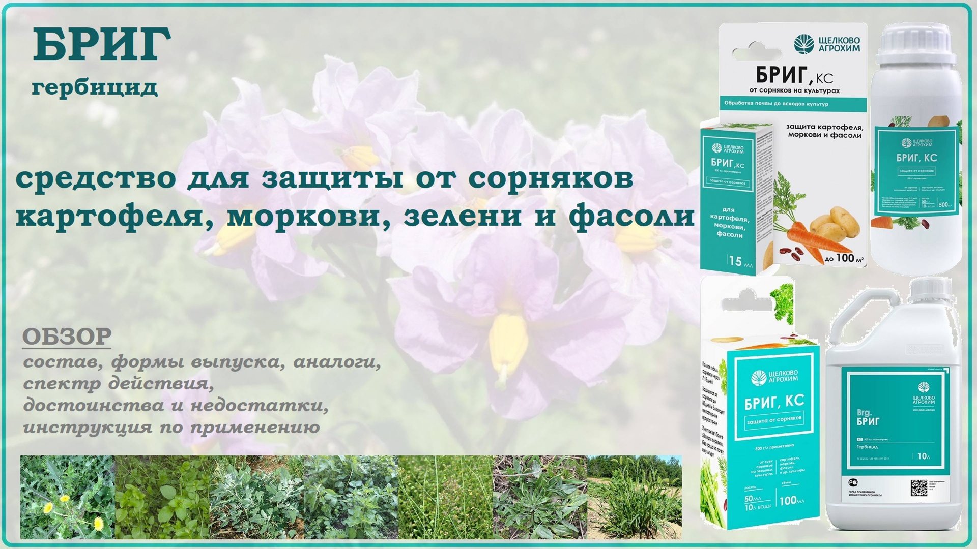 Бриг- гербицид для защиты от сорняков картофеля, моркови, зелени и фасоли.Обзор препарата