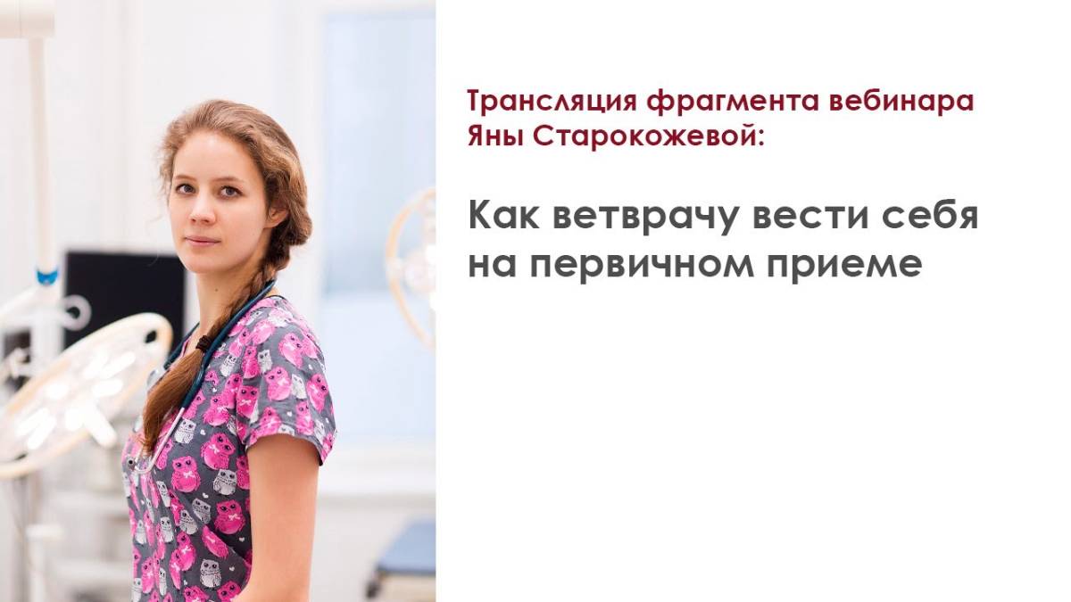 Трансляция фрагмента вебинара Яны Старокожевой: "Как ветврачу вести себя на первичном приеме"