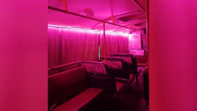 Пассажиры бывают разными, но нервы всегда дороже