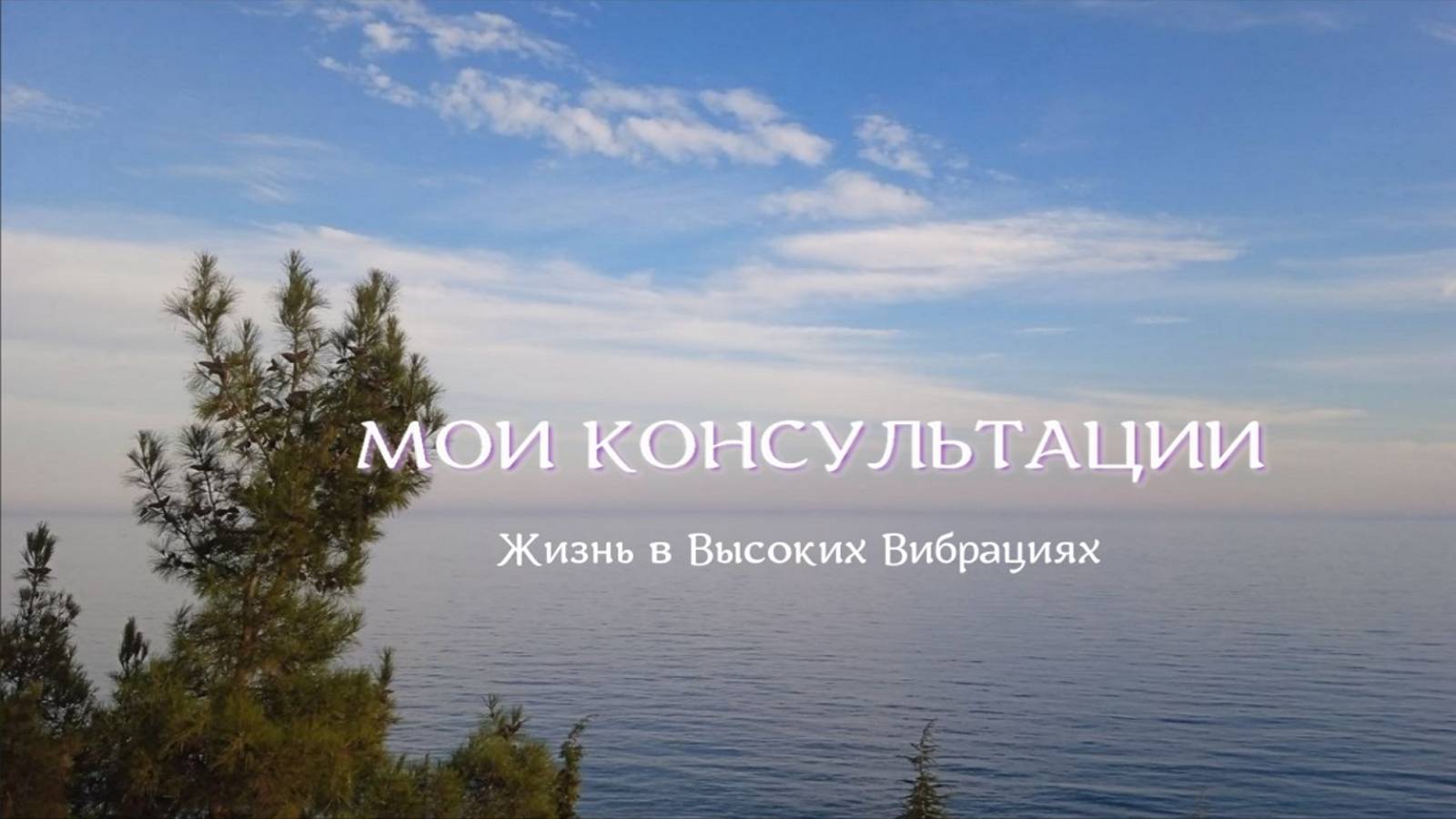 МОИ КОНСУЛЬТАЦИИ в 2025 году💚😊💫