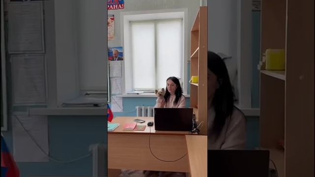 Мероприятия