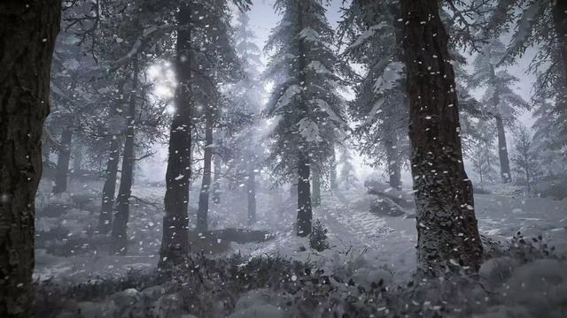 Белый шум зимней вьюги 432 Гц для избавления от стресса