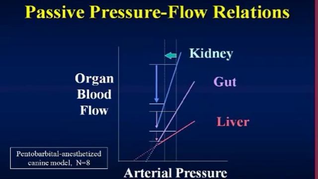 35 Hypotensive patient Pinsky M (2009)
