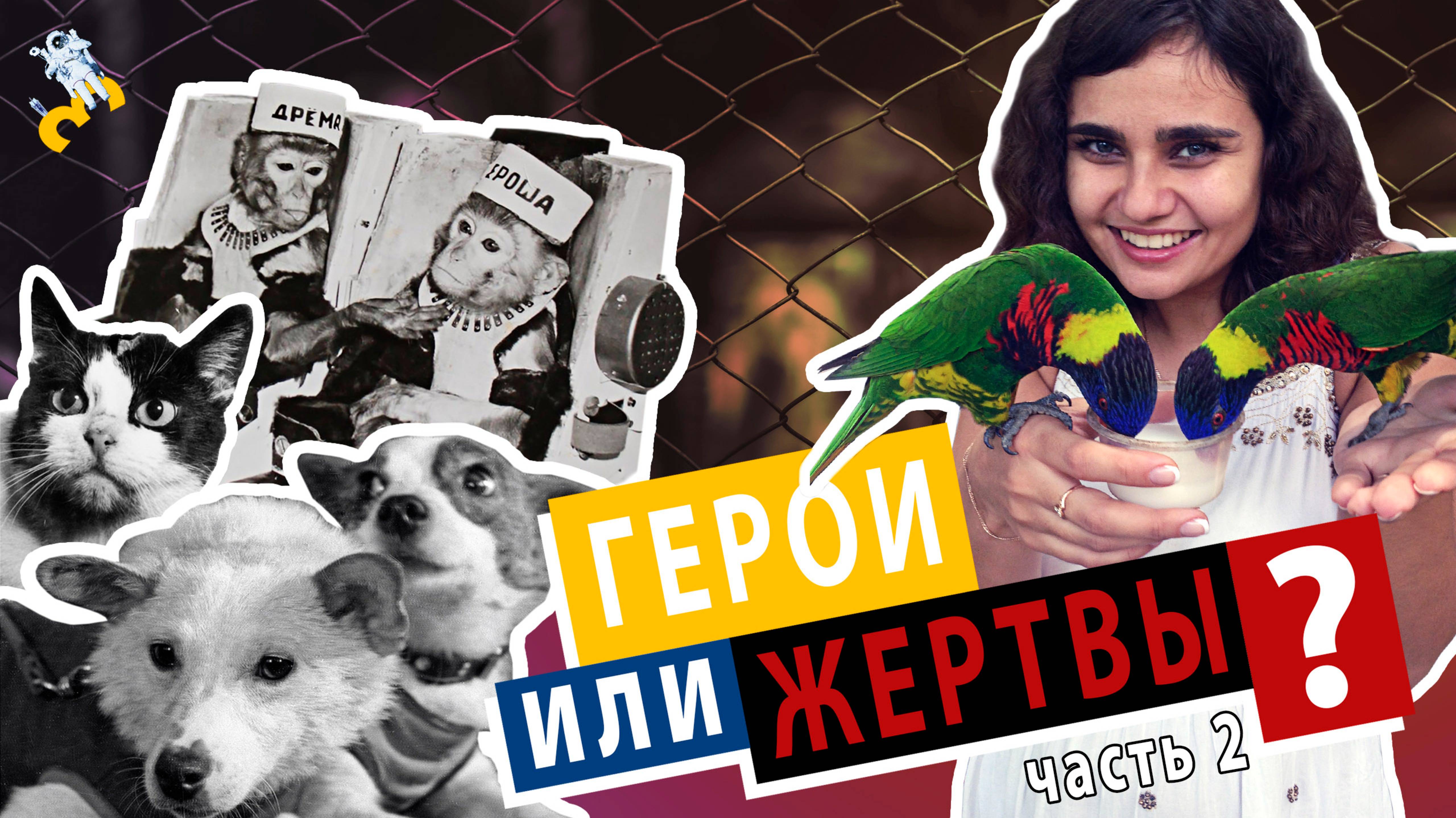 ТОП-7 ФАКТОВ о ЖИВОТНЫХ, покорявших КОСМОС: как животные ОПЕРЕДИЛИ ЛЮДЕЙ в космической гонке. Часть2