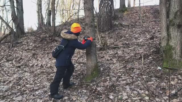 приманка для охоты