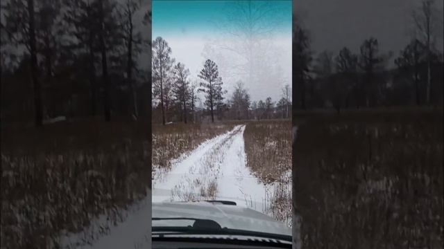 9 ноября 2023 г.