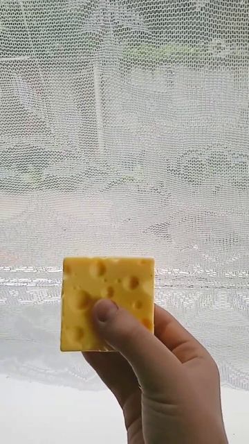 Если скучно и одиноко заведи себе...