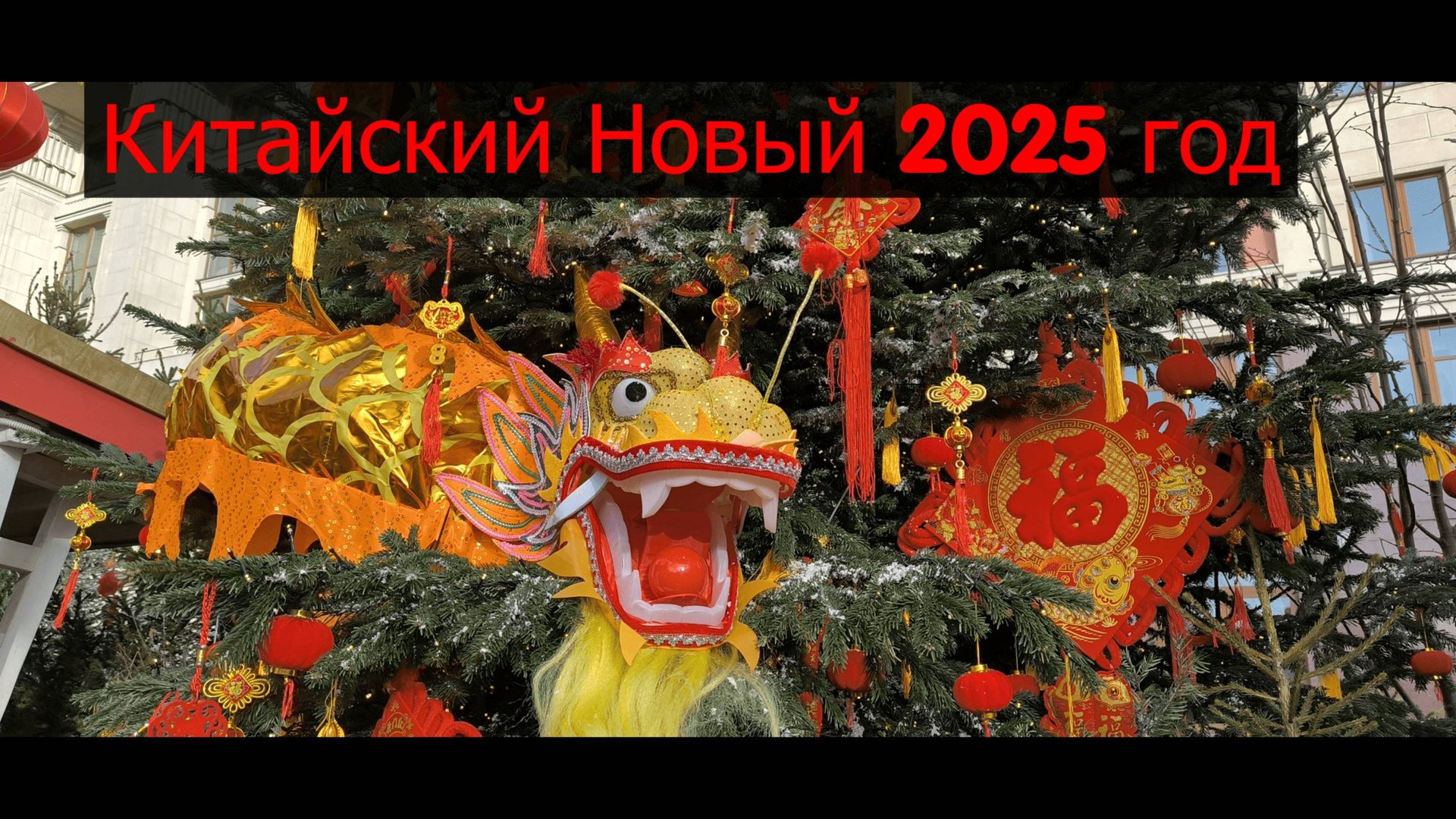 Китайский новый год 2025 на Красной площади