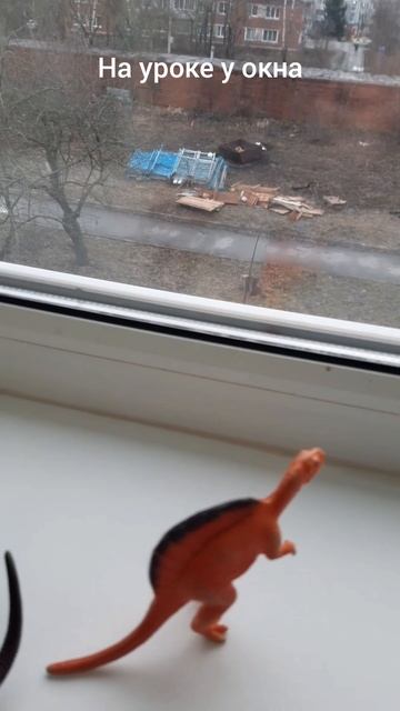 В школе возле окна