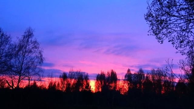 Чудесный Псковский Закат и Пение Лесных Птиц - Весна 2024