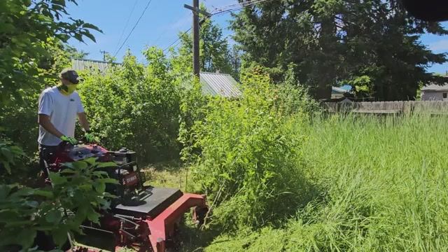 qc_ Смотрим как другие работают After Finding This BURIED In The Back...