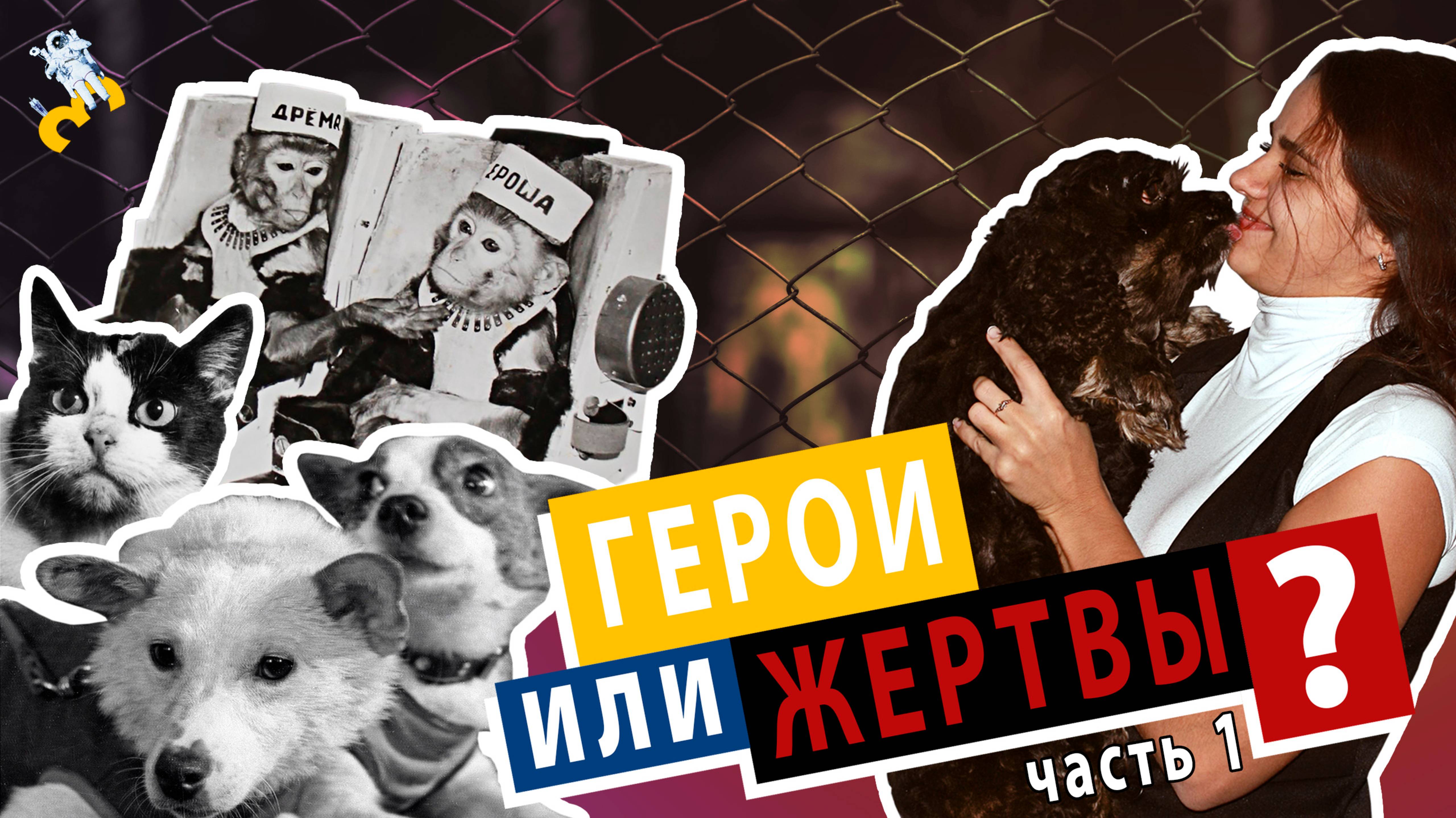 ТОП-7 ФАКТОВ о ЖИВОТНЫХ, покорявших КОСМОС: как животные ОПЕРЕДИЛИ ЛЮДЕЙ в космической гонке. Часть1