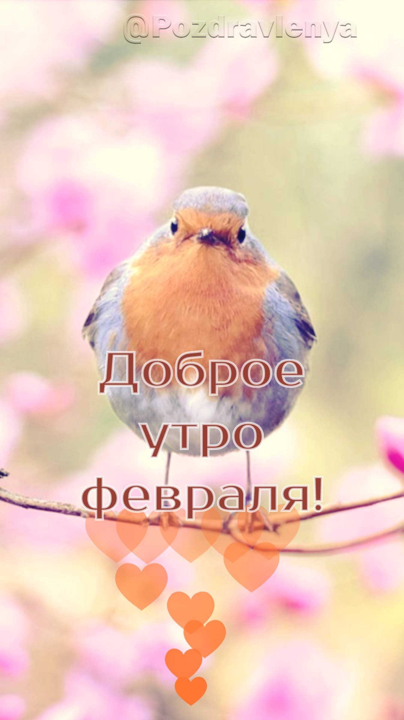 Февральское утро!