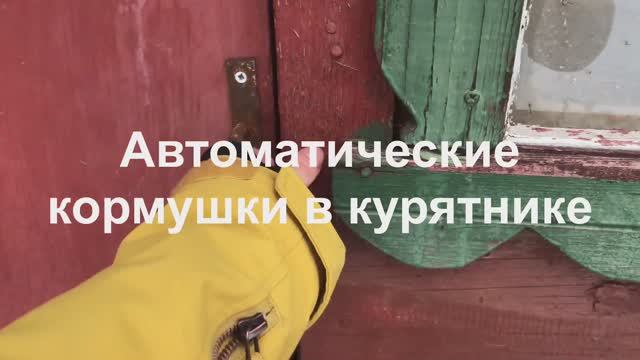 Автоматическая кормушка для курятника с таймером от производителя