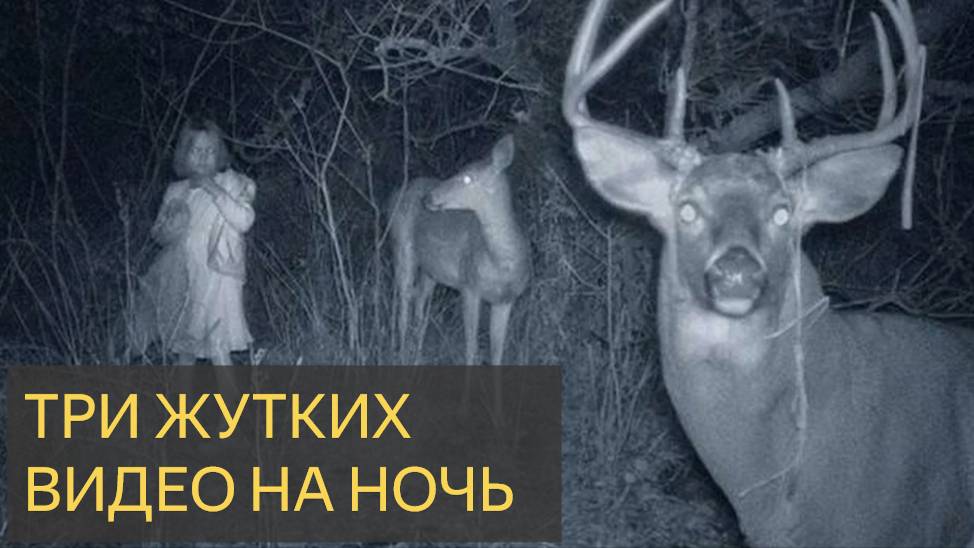 Три жутких видео на ночь