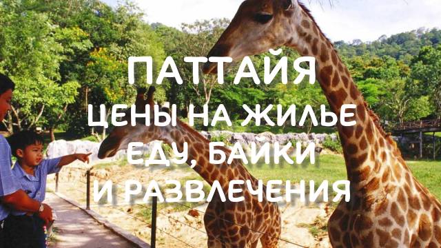 Зоопарк КХАО КХЕО что интересного и стоит ли ехать