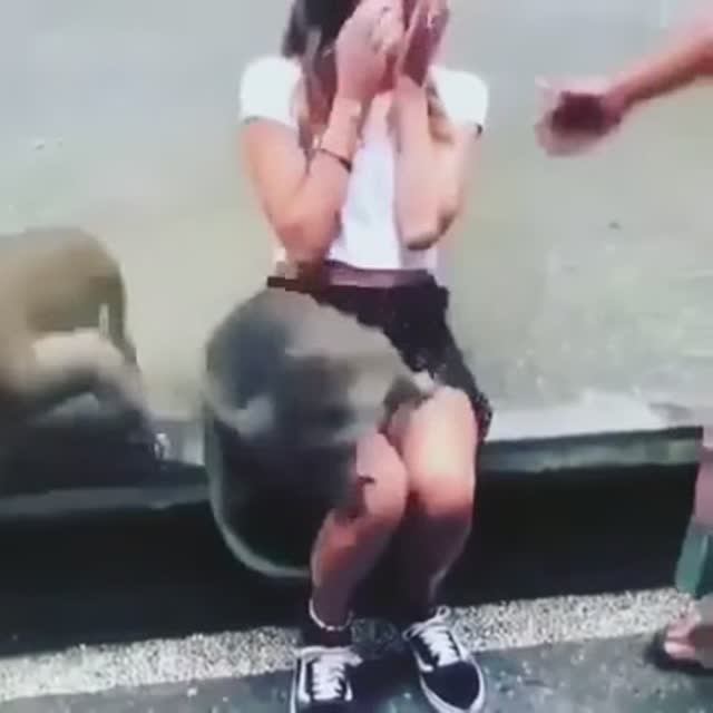 фото удалось