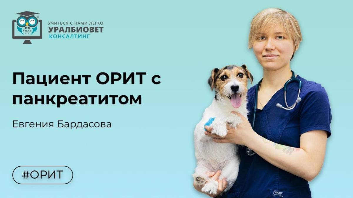 Пациент ОРИТ с панкреатитом, лектор Бардасова Евгения Алексеевна