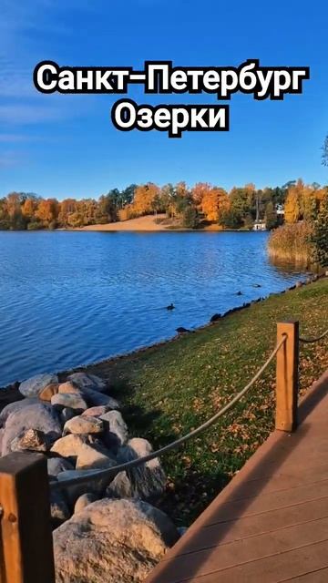 Как я отдыхаю после работы по определению кодов ТН ВЭД #спб