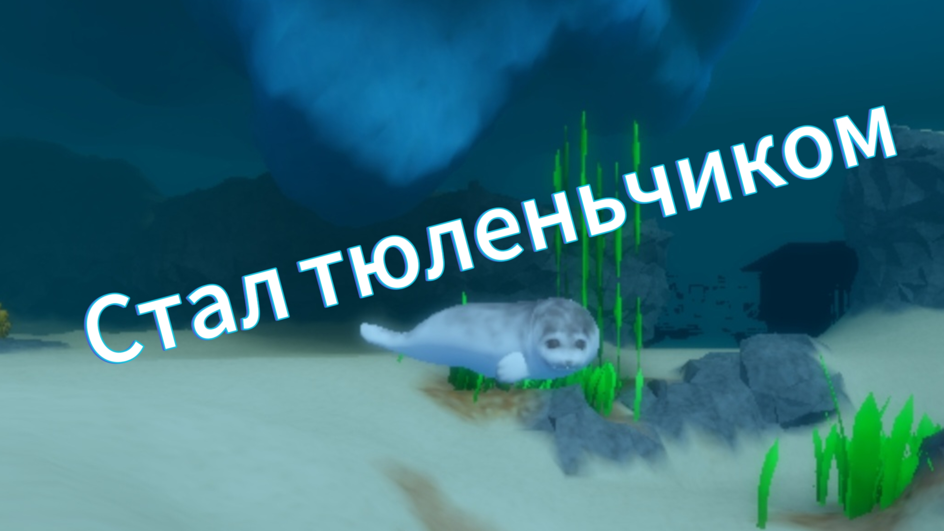 Стал тюленьчиком