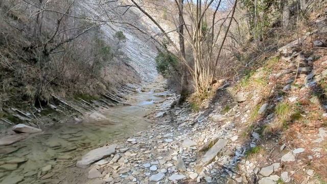 Поход выходного дня! Река Ачибс, дольмены, водопады, 1 февраля 2025 года