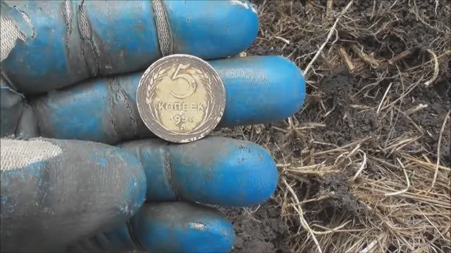НАШЛИ МОНЕТЫ ЗА ПАРУ ЧАСОВ НА ВЫБИТОМ ПОЛЕ   MD Minelab X Terra 705 Коп 2024