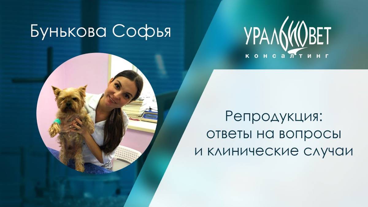Репродукция: Ответы на вопросы + решение клинических случаев. Софья Бунькова #убвк_репродуктология