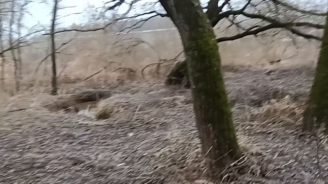 Кто в России Авторитеты?