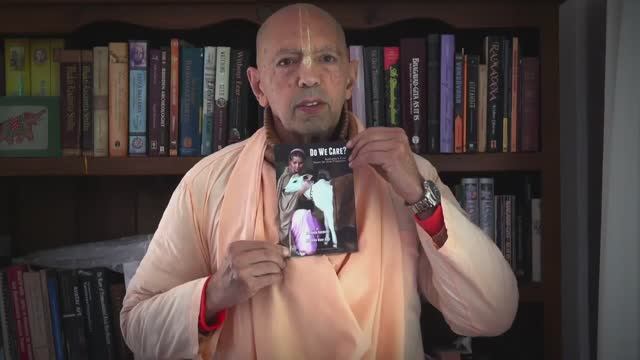 Мукунда Госвами: программа защиты коров - 2018