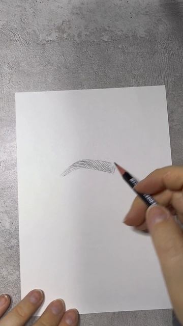 Рисую брови Часть 1 | Поэтапное рисование