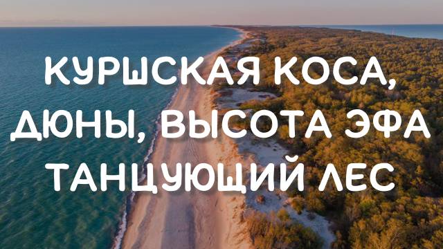 Куршская коса Калининград, Дюны,  Высота Эфа,  Танцующий лес