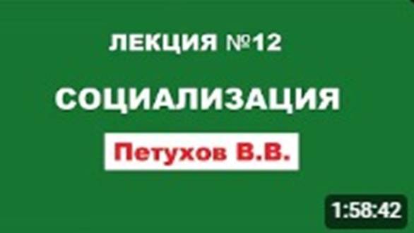 Лекция 12 / Cоциализация / Петухов В.В.