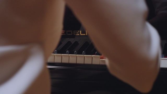 MEDELI UP805 & GP805 | В.А. Моцарт Соната для двух фортепиано ре мажор K. 448