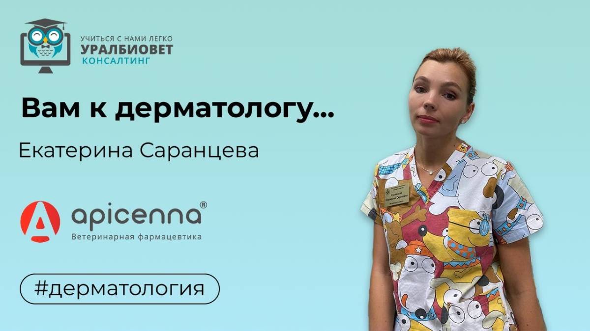 "Вам к дерматологу..." Лектор Екатерина Саранцева