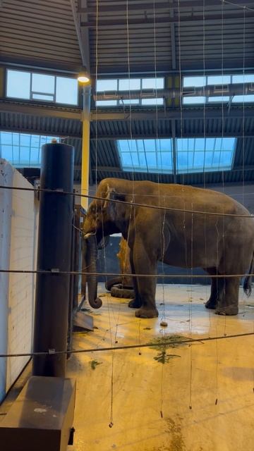 Семейные путешествия по России