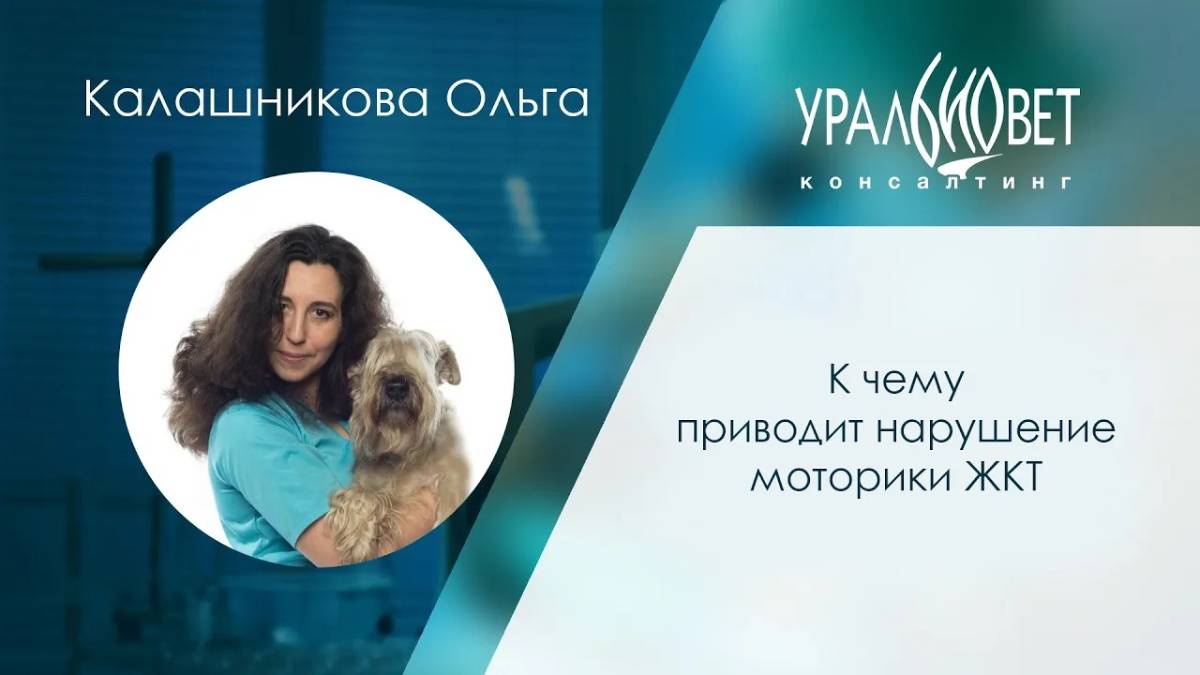 К чему приводит нарушение моторики ЖКТ. Лектор Ольга Калашникова #убвк_гастроэнтерология