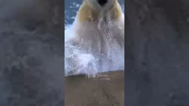 Колыбельная — из мультфильма Умка