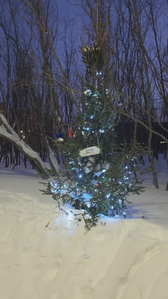 Ель Марина ждет вас в Воркуте