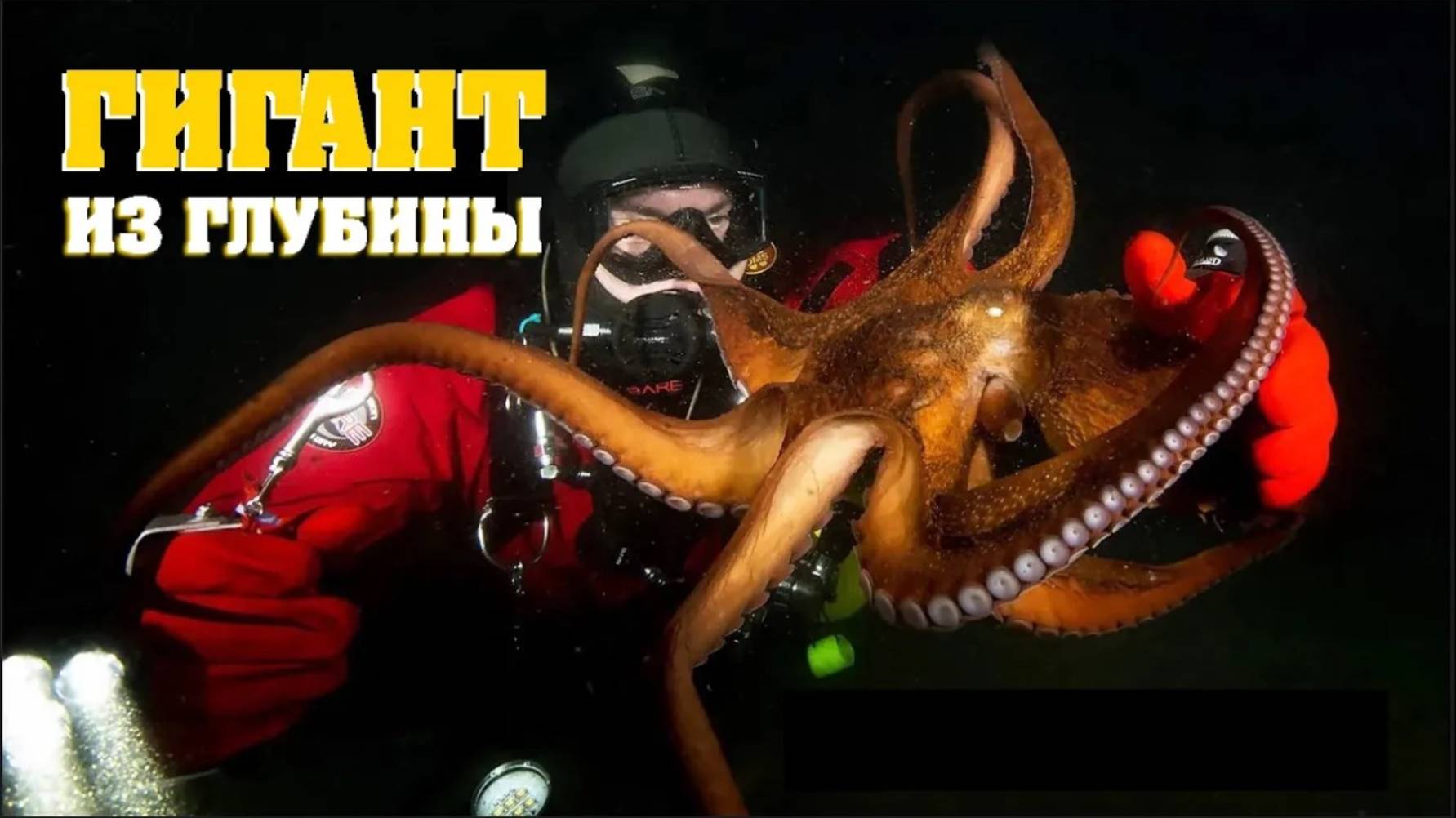 Нервный осьминог