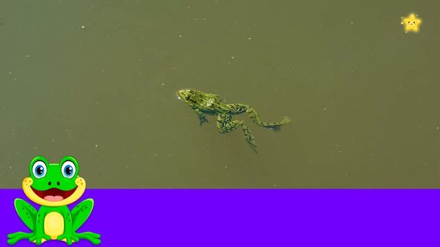 Песенка для Детей - Как говорят животные. Животные для детей