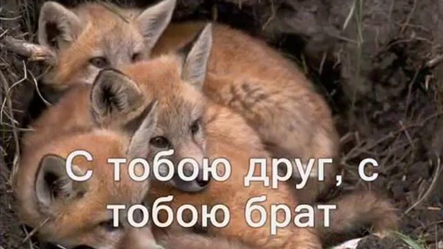 С тобою друг