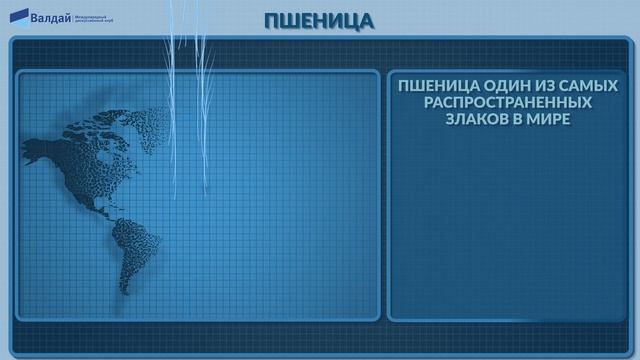 Рынок зерна. Видеоинфографика